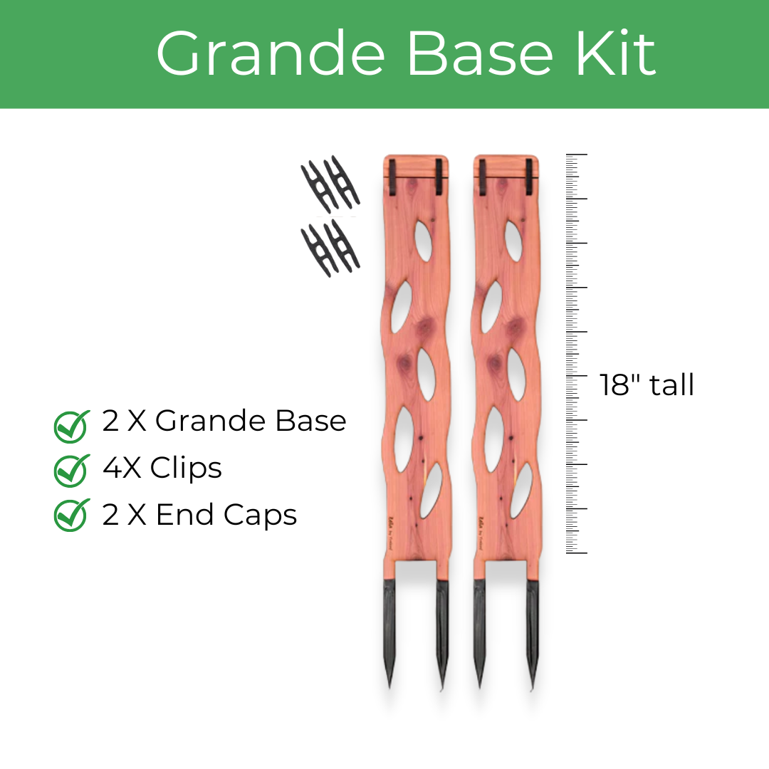 Zella - Wooden Extendable Plant Support