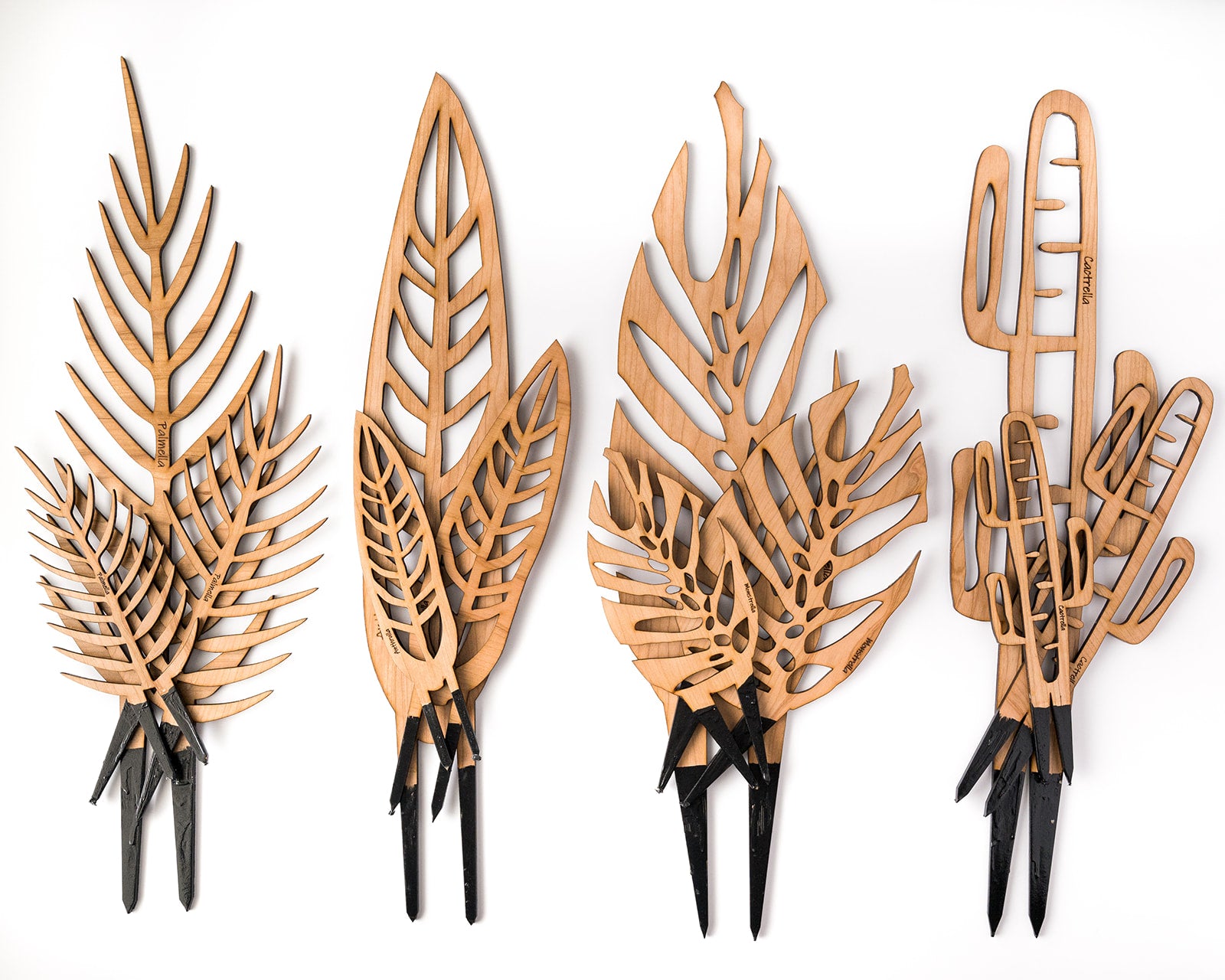 TreleafJanuary-24.jpg?v=1612404971